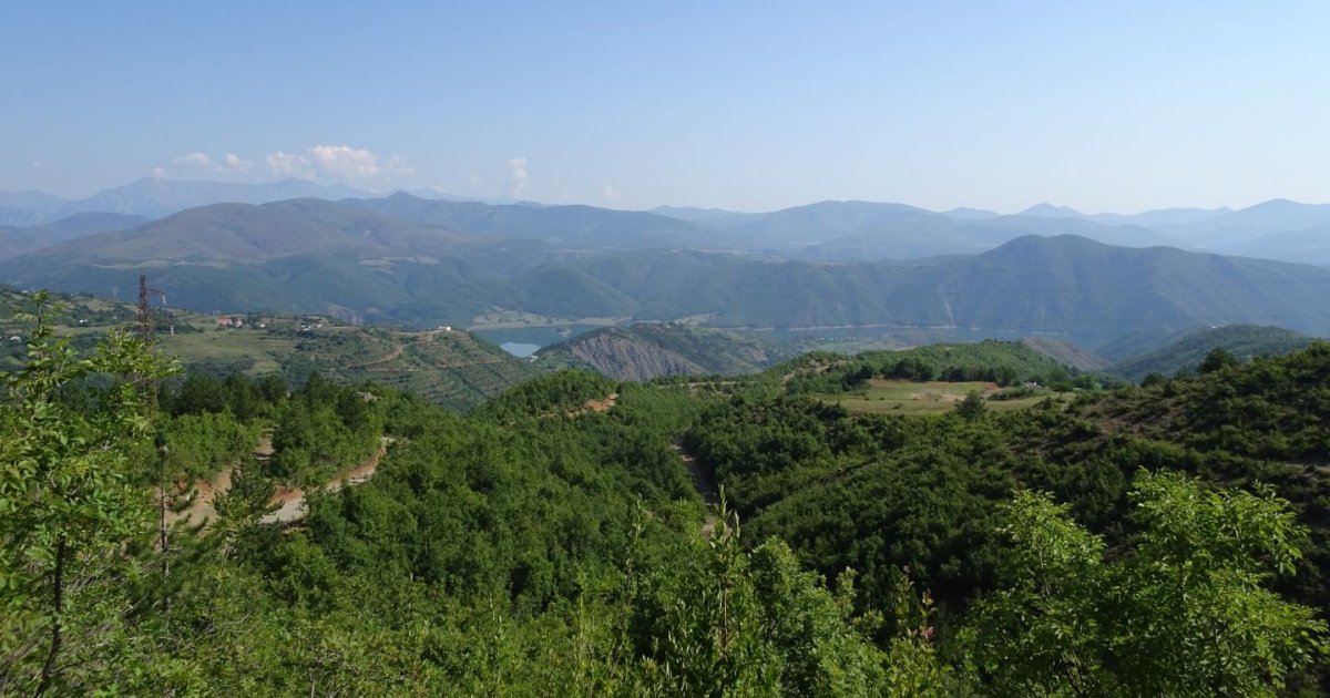 Dardhë - Fushë-Arrez