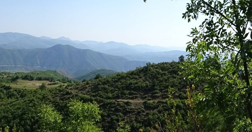 Dardhë - Fushë-Arrez